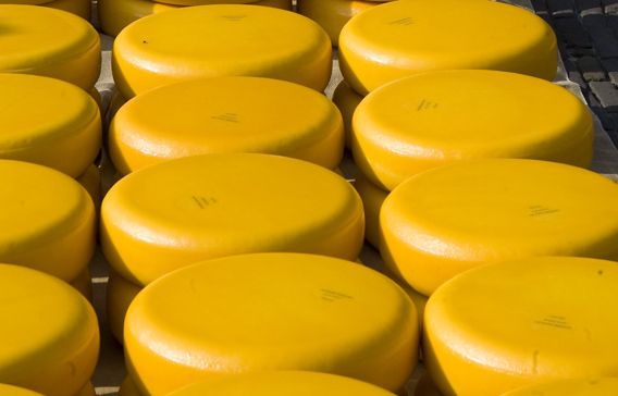 Suspension and jail, all for cheese - Offbeat - This is life - Emirates24|7