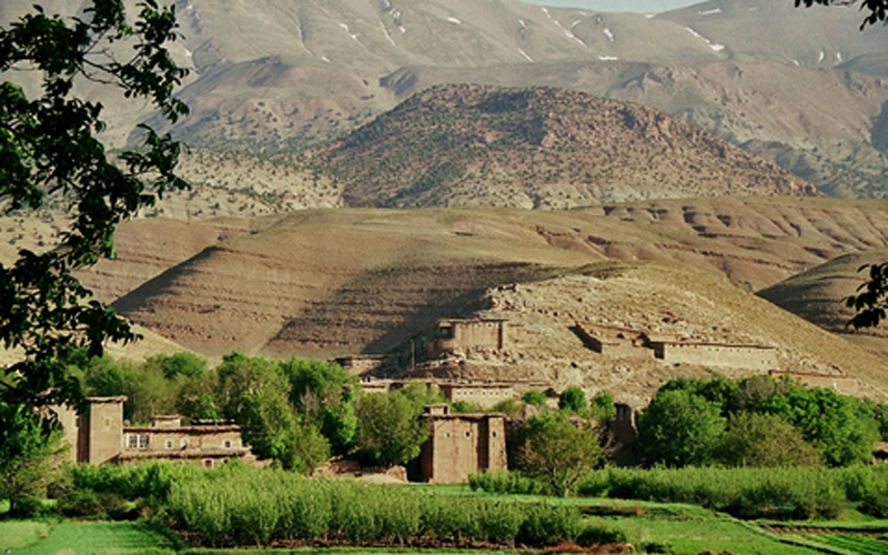 Agricultural land identified in Abu Dhabi - eb247 - The Business of ...