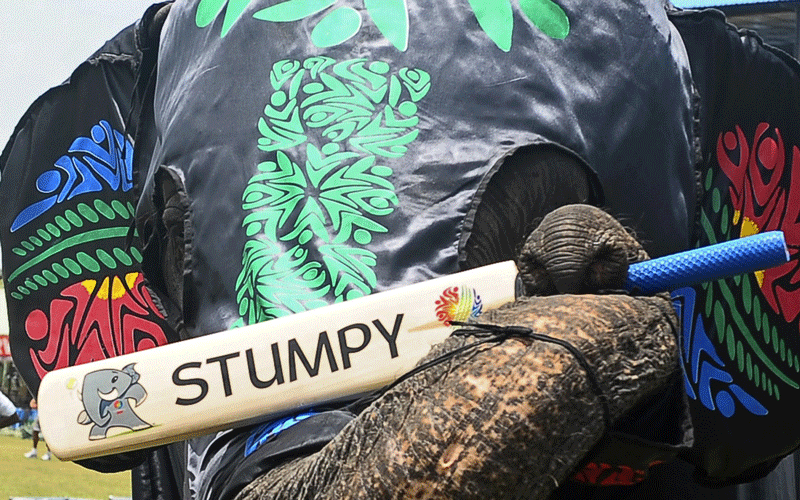 Cricket World Cup 2011 mascot unveiled - Sports - Cricket - Emirates24|7