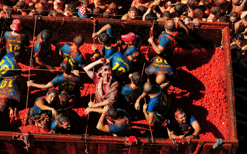 Swimming in a sea of tomato pulp - Emirates24|7