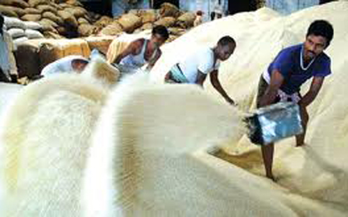 UAE is top global rice re-exporter by far - Business - Economy and ...