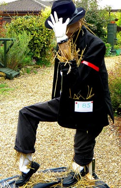 MJ scarecrows get the birds to beat it - Offbeat - Crazy World ...