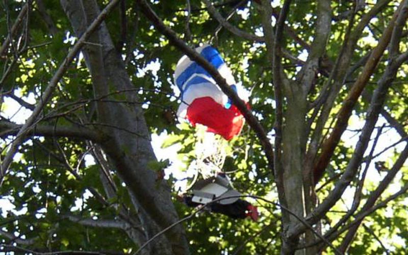 Skydiver gets stuck in tree - Offbeat - Crazy World - Emirates24|7