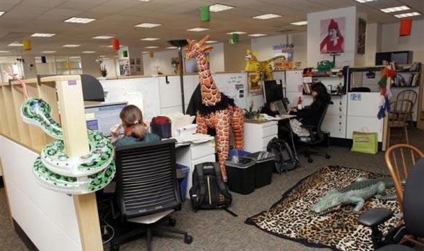 Inside Google - Emirates24|7