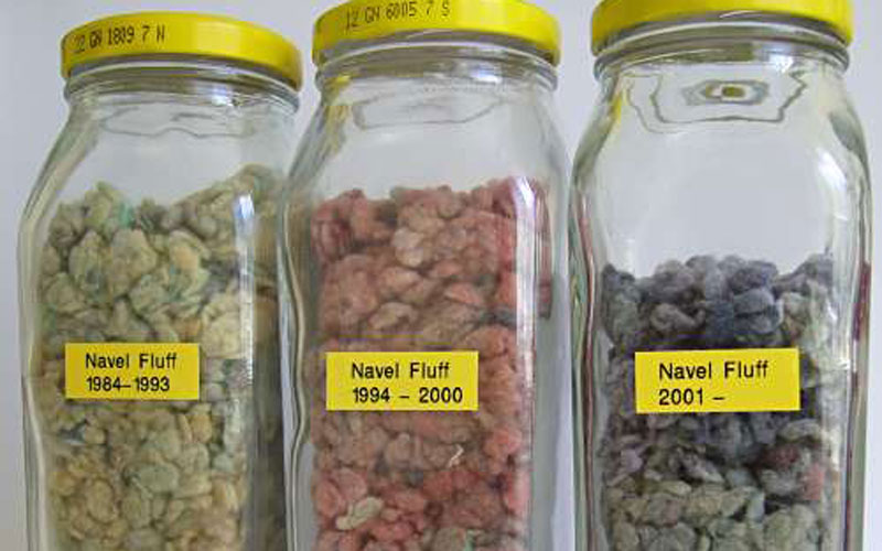 Guinness record for collecting belly button fluff - - Emirates24|7