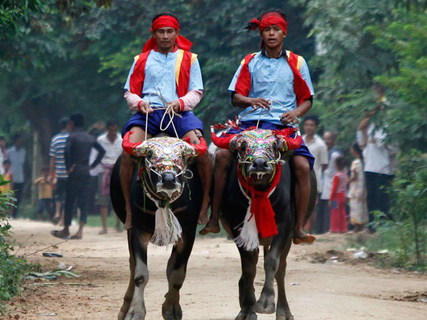 Buffalo-racing ceremony - Emirates24|7