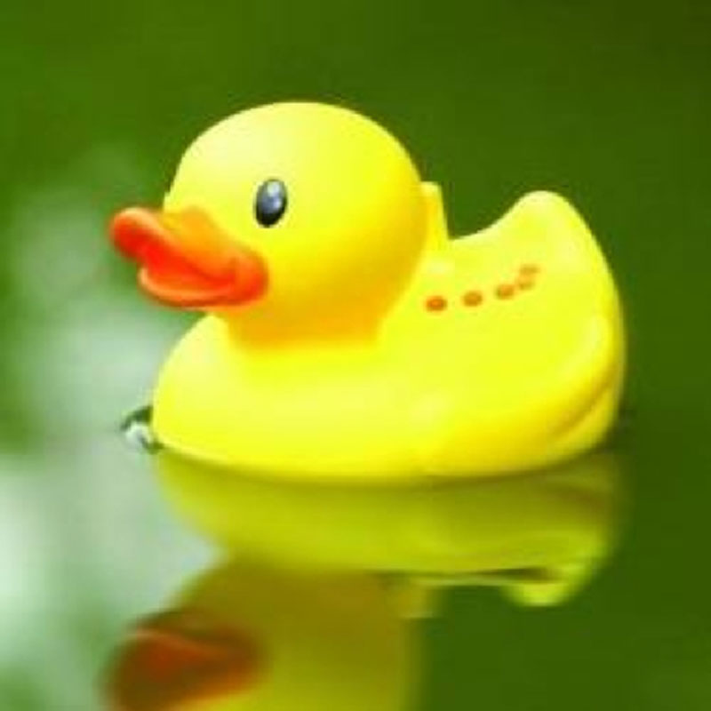 From lion to duck: Assad's nickname goes viral - Offbeat - Emirates24|7