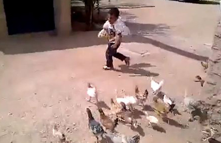 Boy chased by hungry chickens - Offbeat - Emirates24|7