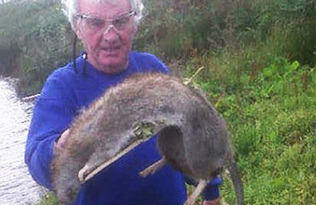 5-foot-long rat snake found in jail - Offbeat - Crazy World - Emirates24|7