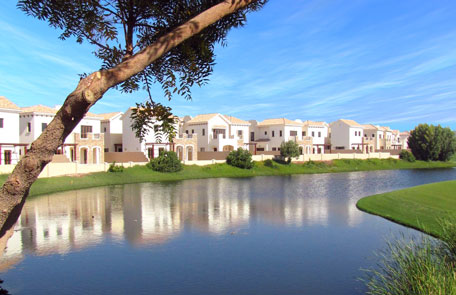 Lime Tree villas handover from year-end - News - Emirates - Emirates24|7