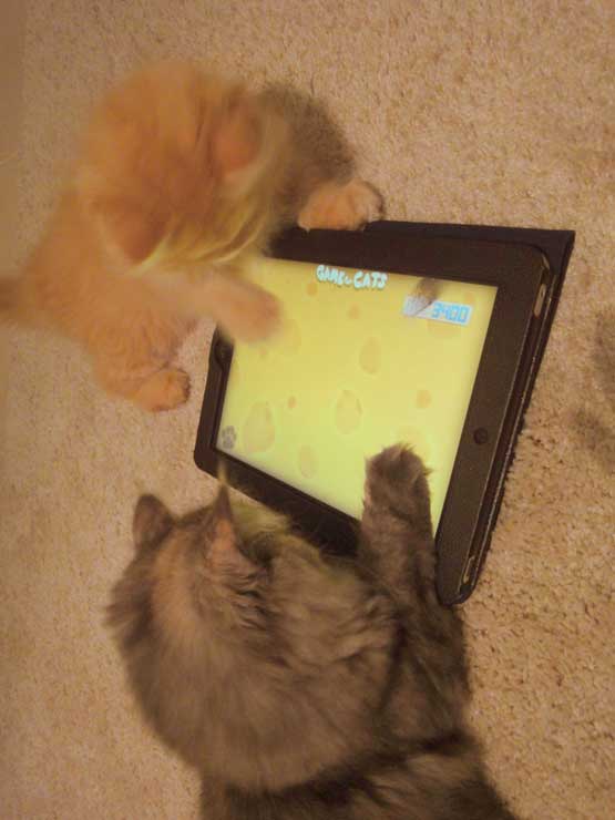 Apple's iPad goes from wow to meow: Pet apps on the rise - News ...