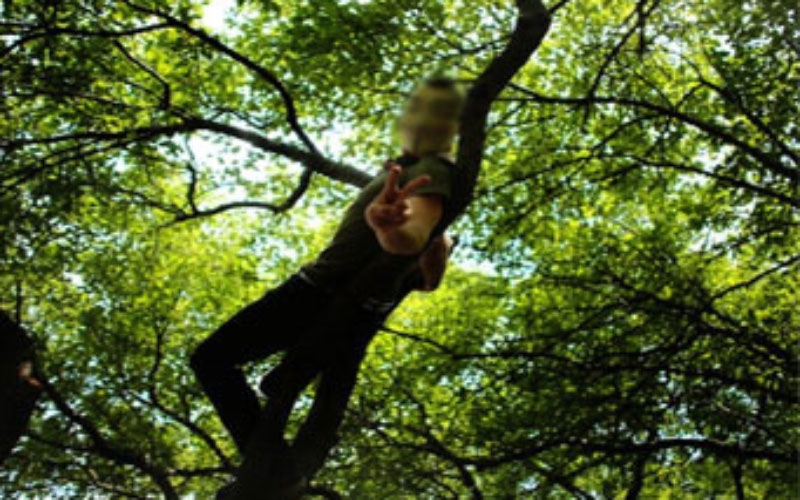 Sri Lankan man's tree-top protest - Offbeat - Crazy World - Emirates24|7