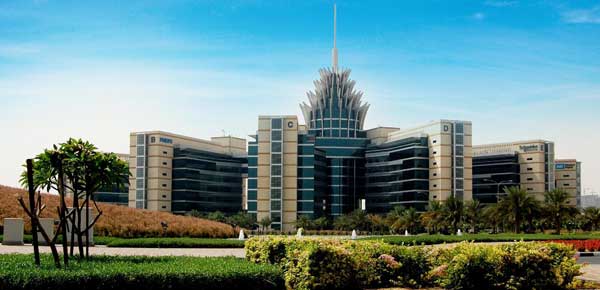 DSOA profit up 26% to Dh165.4m - Business - Corporate - Emirates24|7