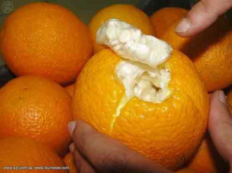 Saudi seizes over 51,000 Captagon pills inside oranges - News - Region ...