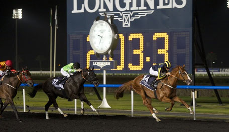 Meydan hosts final racing at Meydan card of the season ahead of Dubai ...