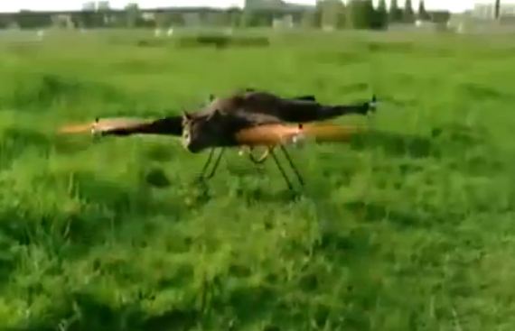 Pet lover's tribute: Dead cat turned into helicopter - News - Emirates24|7