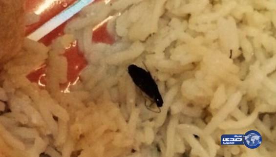 Restaurant offers biryani with cockroach - News - Region - Emirates24|7