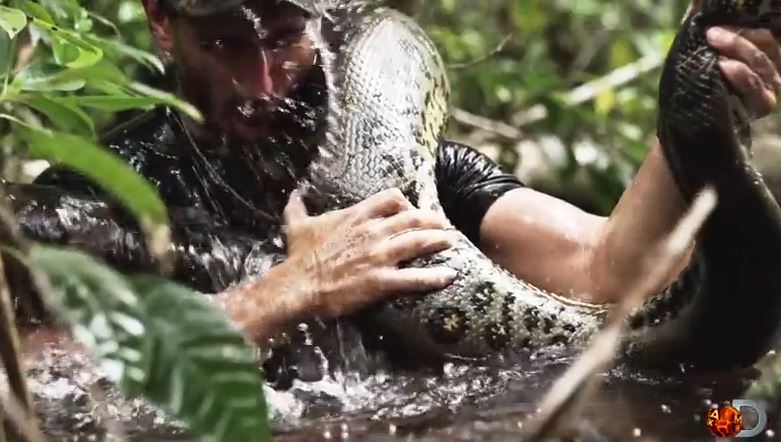 Man eaten alive by snake criticised for animal abuse - Videos - Virals ...