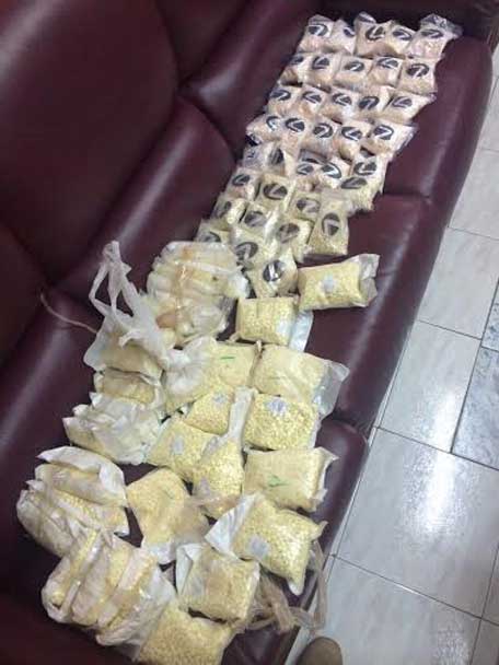 Drug-smuggling camel arrested in Saudi - Law & Order - Emirates24|7