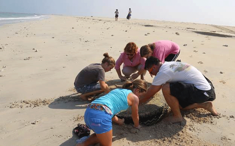 US ambassador, CG help clean up beach - News - Emirates - Emirates24|7