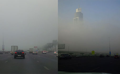 UAE fog: Visibility down to 50m [video] - News - Emirates - Emirates24|7