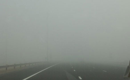 UAE fog: Visibility down to 50m [video] - News - Emirates - Emirates24|7