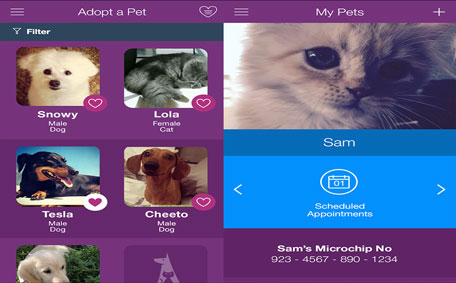 Lost pet, or choose new one via this app - News - Emirates - Emirates24|7