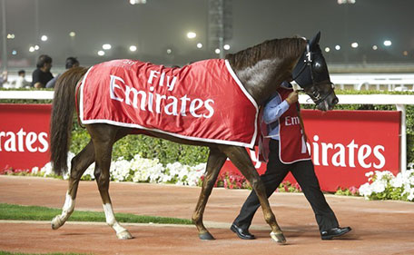 Emirates to launch new Meydan racing season - Sports - Local - Emirates24|7