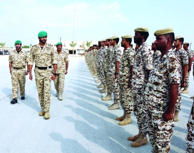 UAE troops deploy at Presidential Palace in Aden - News - Region ...