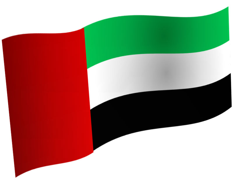 'UAE supports all efforts to achieve peace and stability in region ...