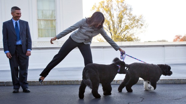 Obama's pets have official White House schedules - Offbeat - Crazy ...