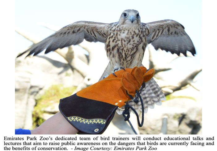 Education and fun shows await visitors to World Falconry Day - News ...