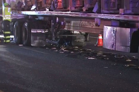 Fish tale: Truck collision sends fish spilling onto highway - News ...