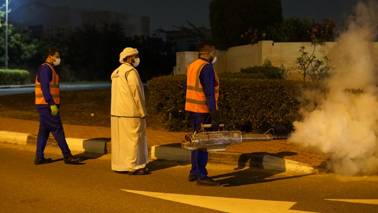 Dubai Municipality initiates comprehensive pest control strategies ...